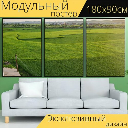 Модульный постер "Бесконечность, рисовые поля, трава" 180 x 90 см. для интерьера