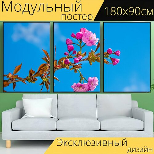 Модульный постер "Цветы, филиал, небо" 180 x 90 см. для интерьера