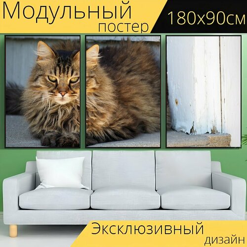 Модульный постер "Кошка, портрет, котенок" 180 x 90 см. для интерьера