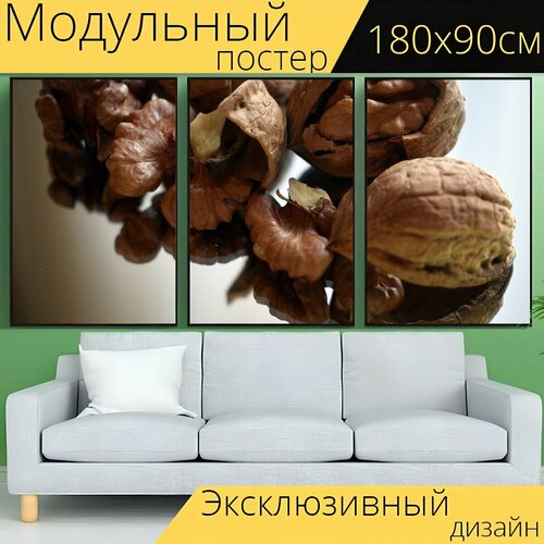 Модульный постер "Грецкий орех, оболочка, жесткий" 180 x 90 см. для интерьера