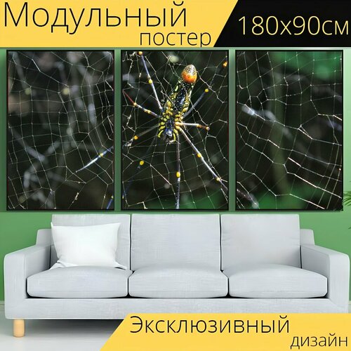 Модульный постер "Паук, сеть, паутина" 180 x 90 см. для интерьера