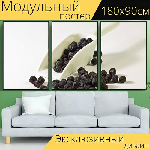 Модульный постер "Черноплодная рябина, ягода, природа здоровая" 180 x 90 см. для интерьера