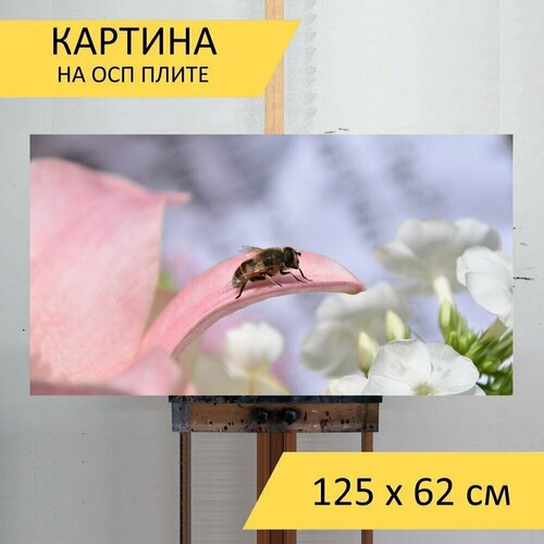 Картина на ОСП 125х62 см. "Пчела, насекомое, пыльца" горизонтальная, для интерьера, с креплениями