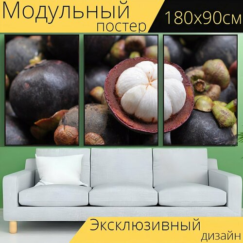Модульный постер "Мангустин, фрукты, свежий" 180 x 90 см. для интерьера