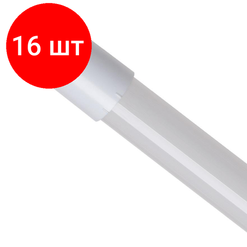 Комплект 16 штук, Лампа светодиодная Космос Lksm_LED10wG13T840GL 10Вт G13 Т8 4000К нейтр.бел