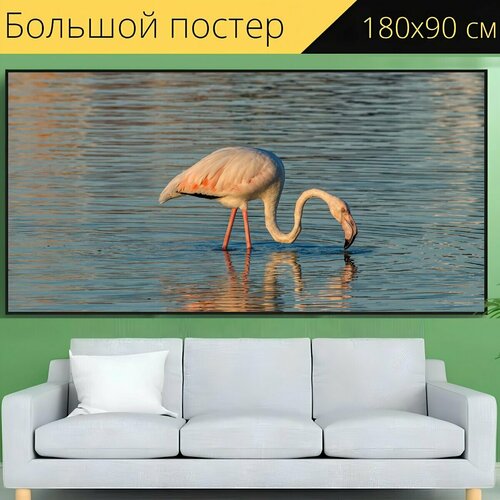 Большой постер "Фламинго, птица, озеро" 180 x 90 см. для интерьера