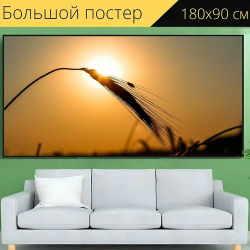 Большой постер "Заход солнца, пшеница, зерно" 180 x 90 см. для интерьера