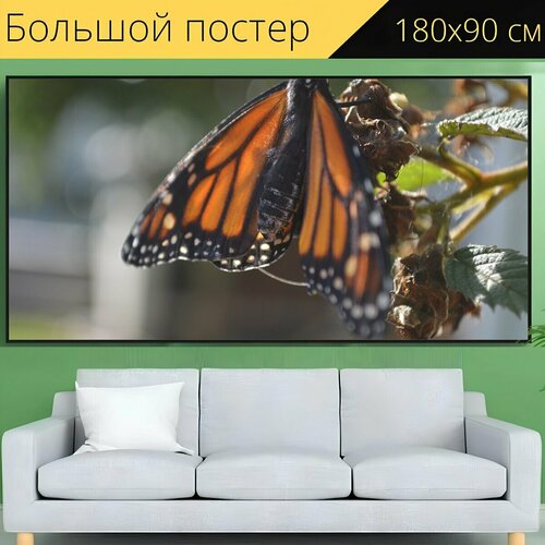 Большой постер "Бабочка монарх, насекомое, цветы" 180 x 90 см. для интерьера