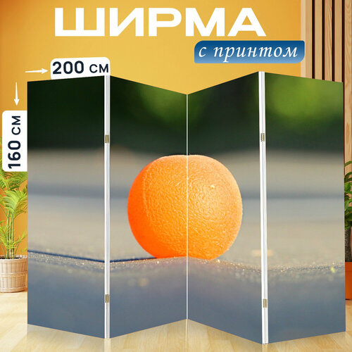 Ширма перегородка с принтом "Мяч, апельсин, смайл" на холсте - 200x160 см. для зонирования, раскладная