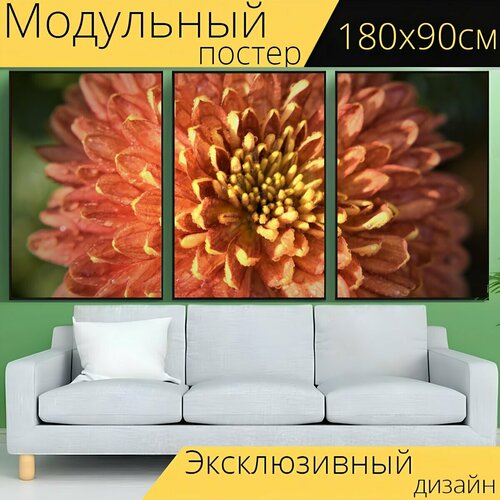 Модульный постер "Хризантема, цветок, лепестки" 180 x 90 см. для интерьера