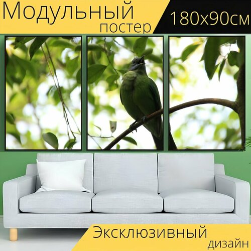 Модульный постер "Птица, зеленый, листья" 180 x 90 см. для интерьера