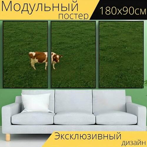 Модульный постер "Корова, трава, швейцарские коровы" 180 x 90 см. для интерьера