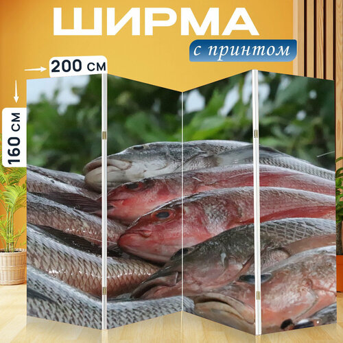 Ширма перегородка с принтом "Рыбы, животное, рыбный рынок" на холсте - 200x160 см. для зонирования, раскладная