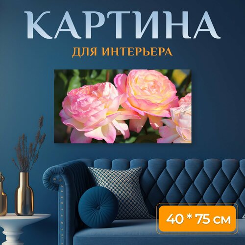 Картина на холсте "Розовые розы, розы, цвести" на подрамнике 75х40 см. для интерьера