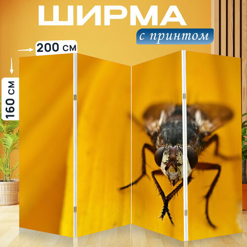 Ширма перегородка с принтом "Летать, насекомое, животное" на холсте - 200x160 см. для зонирования, раскладная