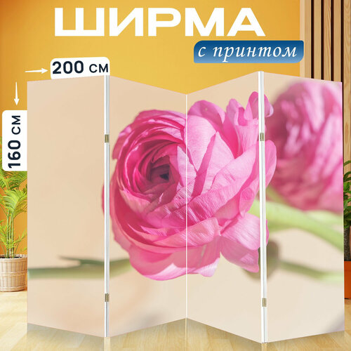 Ширма перегородка с принтом "Лютик, розовый, цвести" на холсте - 200x160 см. для зонирования, раскладная