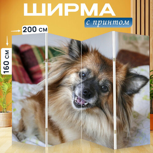 Ширма перегородка с принтом "Собака, животное, милый" на холсте - 200x160 см. для зонирования, раскладная