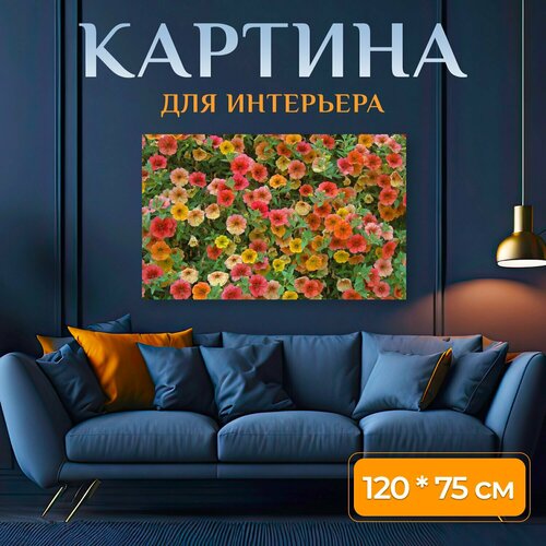 Картина на холсте "Петунии, расцветает, балконное растение" на подрамнике 120х75 см. для интерьера