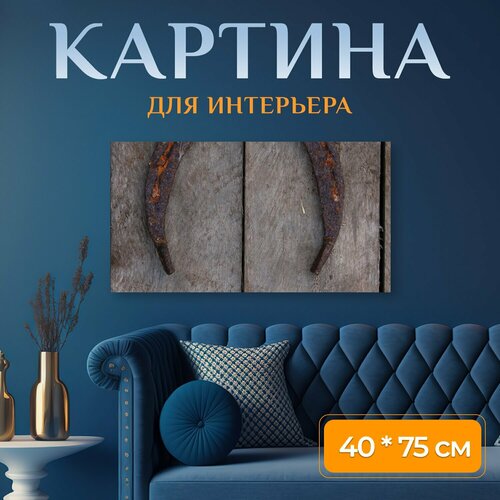 Картина на холсте "Подкова, дерево, старый" на подрамнике 75х40 см. для интерьера