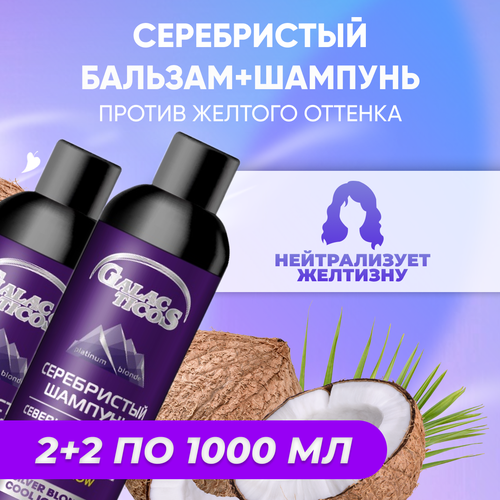 Шампунь 2 шт + бальзам 2 шт Frezy Grand серебристый для нейтрализации желтизны светлых волос Северное сияние по 1000 мл