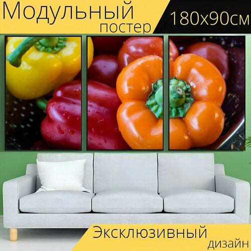 Модульный постер "Перец, овощи, помидоры" 180 x 90 см. для интерьера
