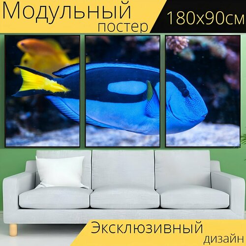 Модульный постер "Поддоны доктор рыба, доктор рыба, тропическая рыба" 180 x 90 см. для интерьера