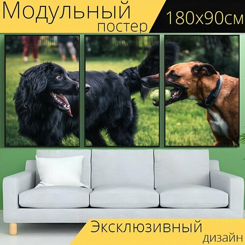 Модульный постер "Собаки, клыки, мяч" 180 x 90 см. для интерьера