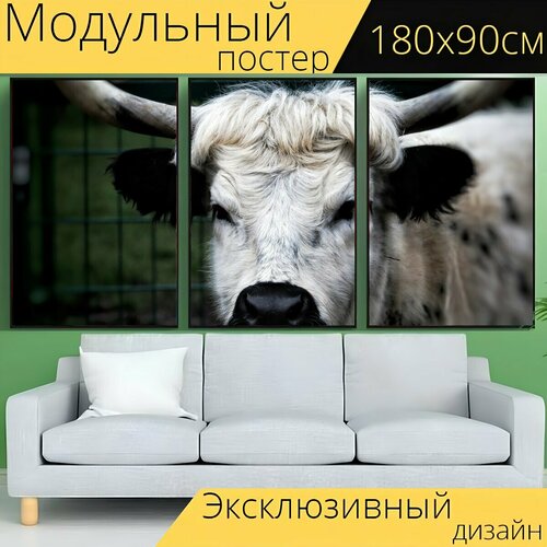 Модульный постер "Говядина, корова, животные" 180 x 90 см. для интерьера