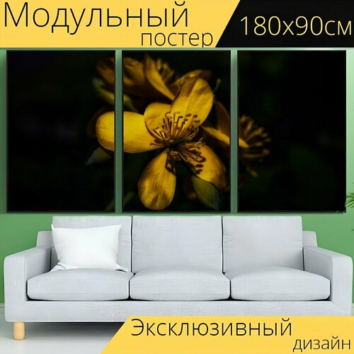Модульный постер "Желтый цветок май, цветок, темный" 180 x 90 см. для интерьера