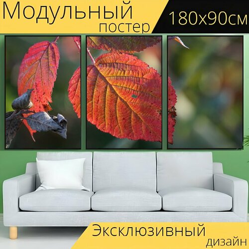 Модульный постер "Падение, листья, природа" 180 x 90 см. для интерьера