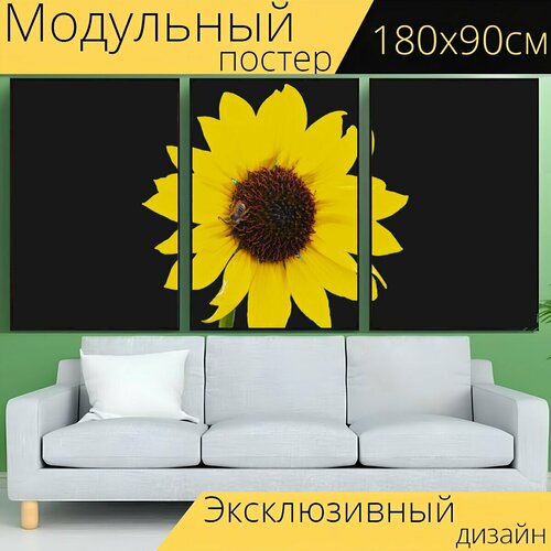Модульный постер "Желтый, цветущее растение, цветок" 180 x 90 см. для интерьера