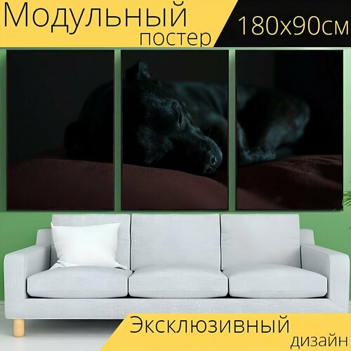 Модульный постер "Спящая собака, собака, сонный" 180 x 90 см. для интерьера