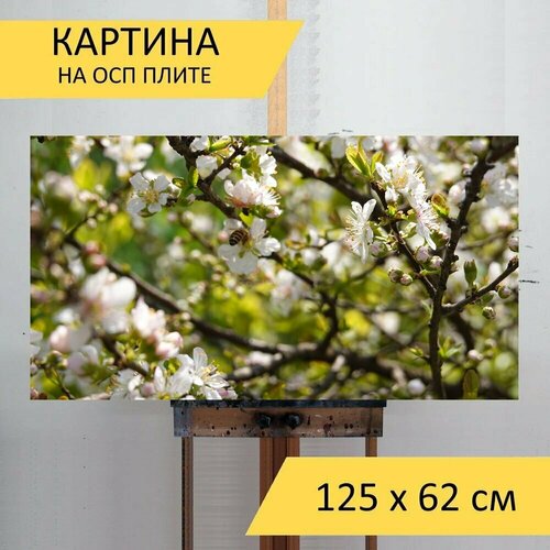 Картина на ОСП 125х62 см. "Сакура, цветение вишни, пчела" горизонтальная, для интерьера, с креплениями