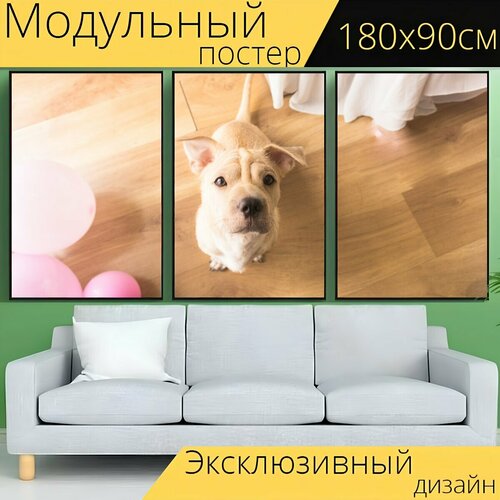 Модульный постер "Собака, домашний питомец, дом" 180 x 90 см. для интерьера