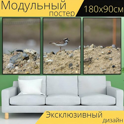 Модульный постер "Животное, камень, птица" 180 x 90 см. для интерьера