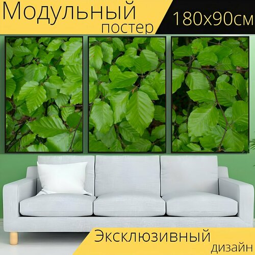 Модульный постер "Зеленый, листья, природа" 180 x 90 см. для интерьера
