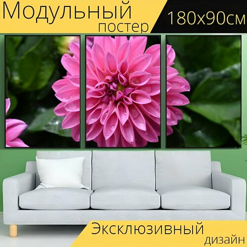 Модульный постер "Цветок, розовый, природа" 180 x 90 см. для интерьера