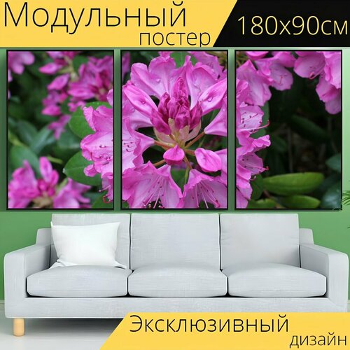 Модульный постер "Лиловый цветок, розовый цветок, весна" 180 x 90 см. для интерьера