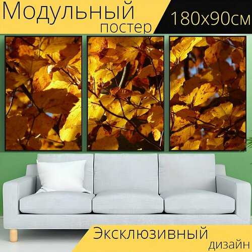Модульный постер "Бук, осень, листья" 180 x 90 см. для интерьера