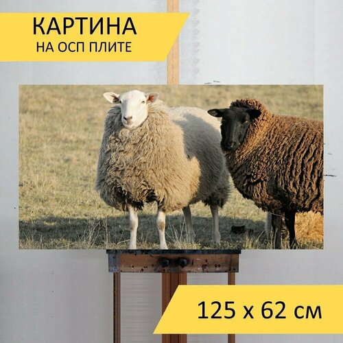 Картина на ОСП 125х62 см. "Овец, сельскохозяйственное животное, две овцы" горизонтальная, для интерьера, с креплениями