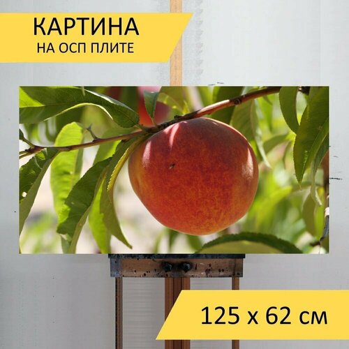 Картина на ОСП 125х62 см. "Персик, фрукты, дерево" горизонтальная, для интерьера, с креплениями