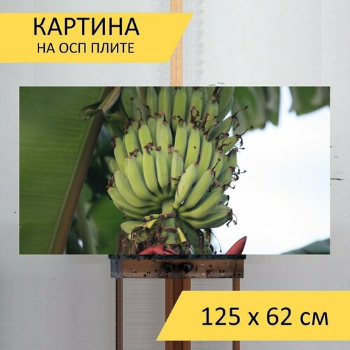 Картина на ОСП 125х62 см. "Бананы, фрукты, еда" горизонтальная, для интерьера, с креплениями