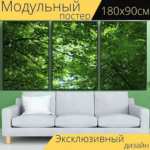 Модульный постер "Зеленый, листва, летом" 180 x 90 см. для интерьера