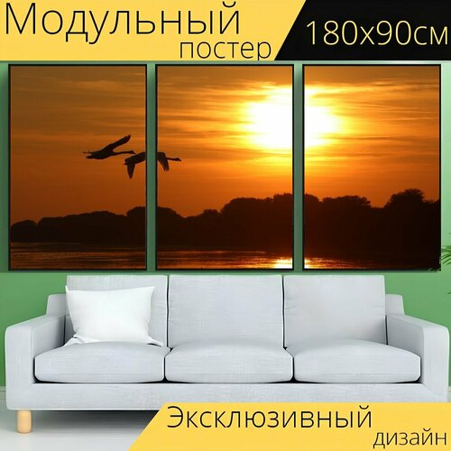 Модульный постер "Заход солнца, птицы, утки" 180 x 90 см. для интерьера