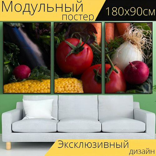 Модульный постер "Помидор, кукуруза, лук" 180 x 90 см. для интерьера