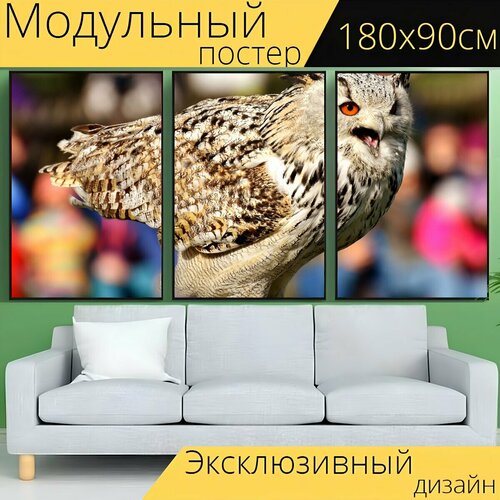 Модульный постер "Сова, птица, перья" 180 x 90 см. для интерьера