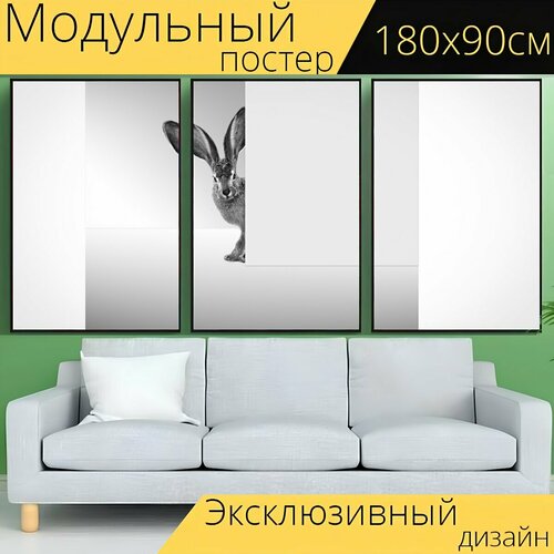 Модульный постер "Заяц, животное, стена дома" 180 x 90 см. для интерьера