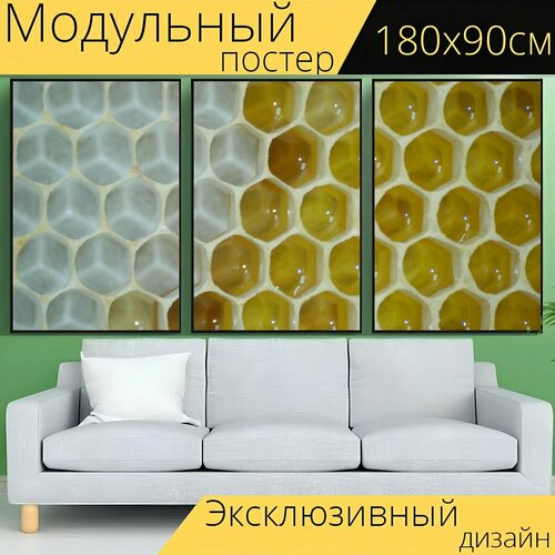 Модульный постер "Соты, медовый, пчелиный воск" 180 x 90 см. для интерьера