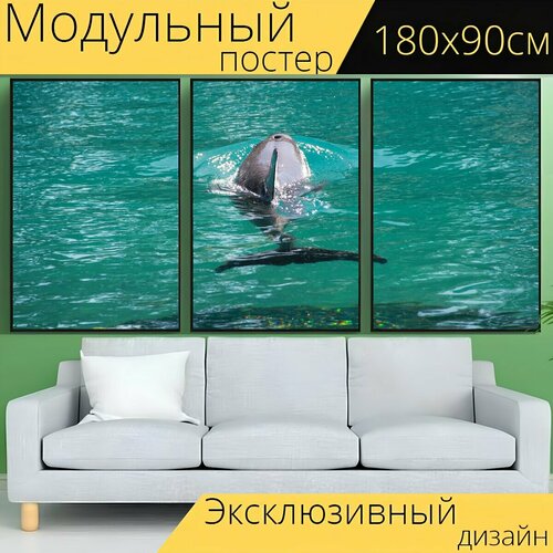 Модульный постер "Дельфин, сказка, рыбы" 180 x 90 см. для интерьера