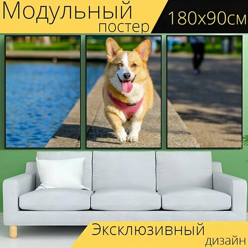 Модульный постер "Животное, собака, домашний питомец" 180 x 90 см. для интерьера